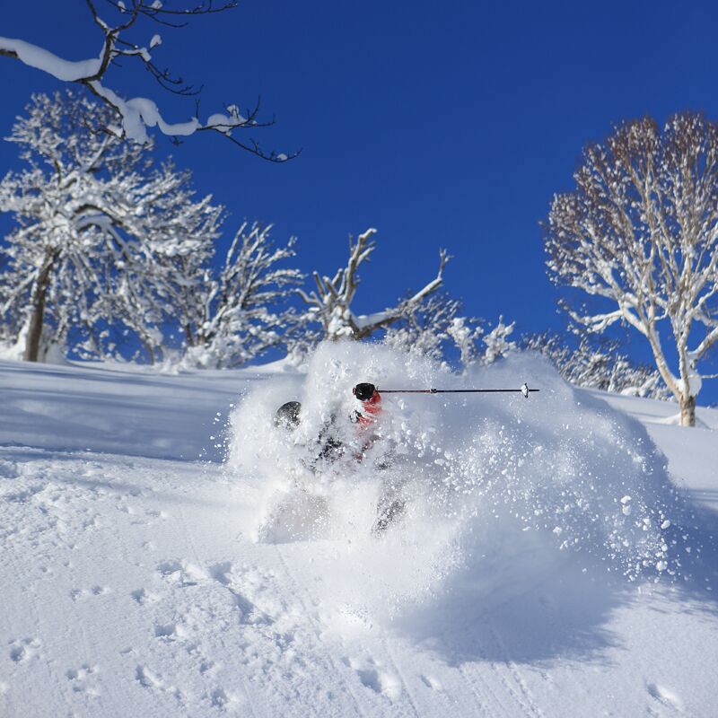 Top Reasons you should come to Niseko this Spring | Hanazono Niseko